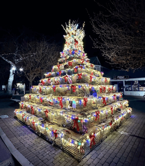 Lighting of the Lobster Pot Tree | Provincetown Chamber of Commerce